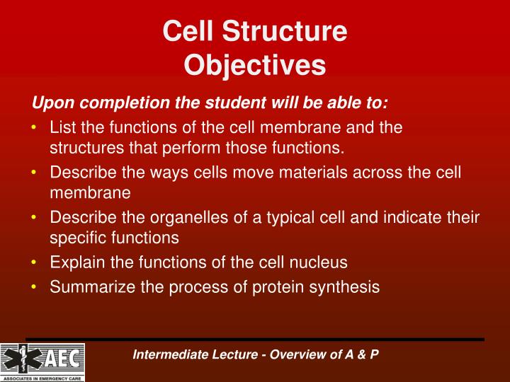 PPT - OVERVIEW OF ANATOMY AND PHYSIOLOGY PowerPoint Presentation - ID ...