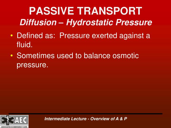 PPT - OVERVIEW OF ANATOMY AND PHYSIOLOGY PowerPoint Presentation - ID ...