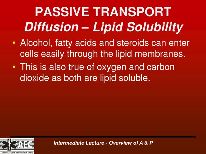 PPT - OVERVIEW OF ANATOMY AND PHYSIOLOGY PowerPoint Presentation - ID ...
