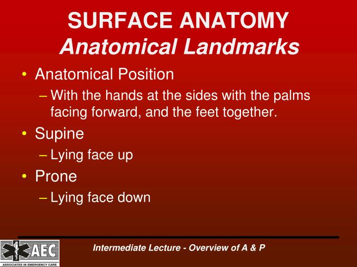 PPT - OVERVIEW OF ANATOMY AND PHYSIOLOGY PowerPoint Presentation - ID ...