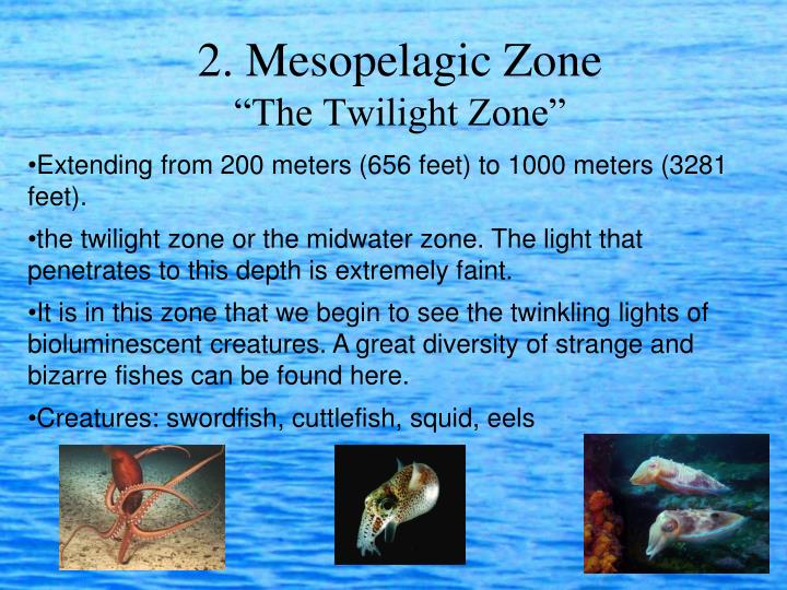 PPT - Ocean Layers PowerPoint Presentation - ID:3085453