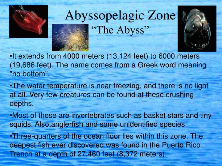 PPT - Ocean Layers PowerPoint Presentation - ID:3085453