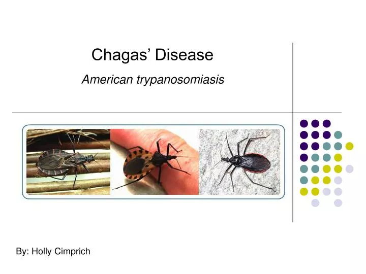 PPT - Chagas’ Disease American trypanosomiasis PowerPoint Presentation ...