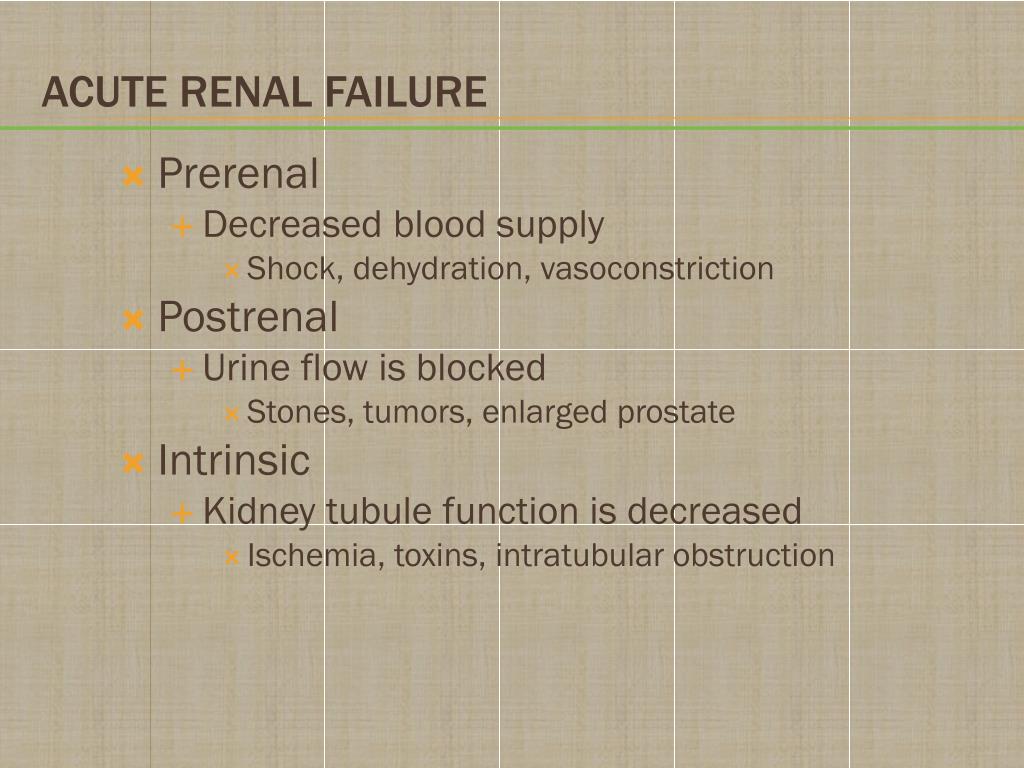 PPT - Chapter 26 Acute Renal Failure and Chronic Kidney Disease ...
