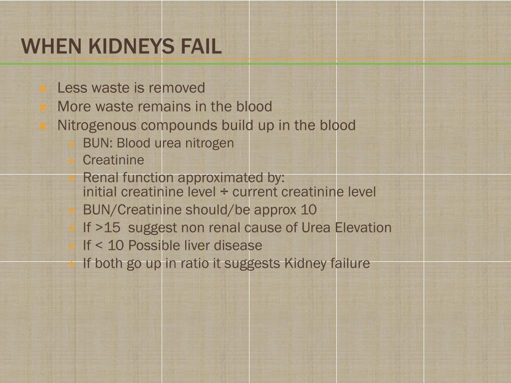 PPT - Chapter 26 Acute Renal Failure and Chronic Kidney Disease ...
