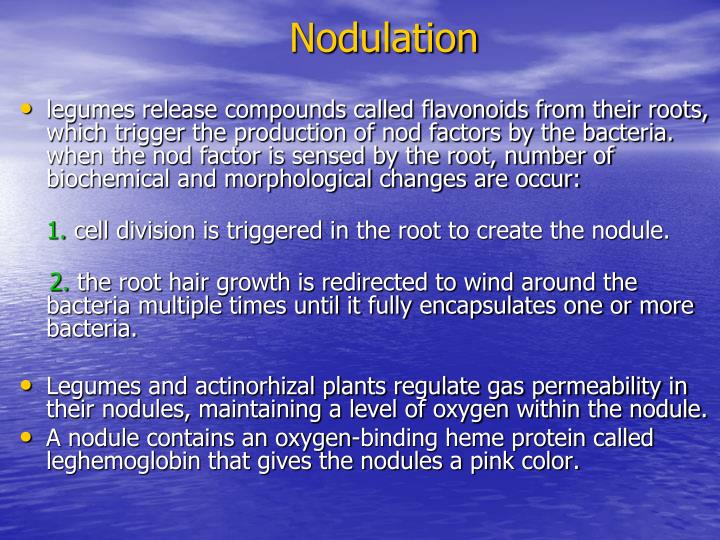PPT - GENETIC ENGINEERING OF NITROGEN FIXATION PowerPoint Presentation ...