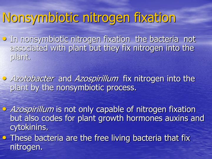 PPT - GENETIC ENGINEERING OF NITROGEN FIXATION PowerPoint Presentation ...
