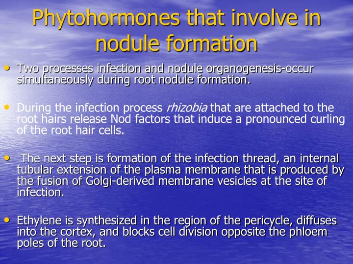 PPT - GENETIC ENGINEERING OF NITROGEN FIXATION PowerPoint Presentation ...