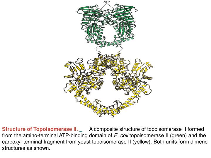 PPT - 10 PowerPoint Presentation - ID:3086174