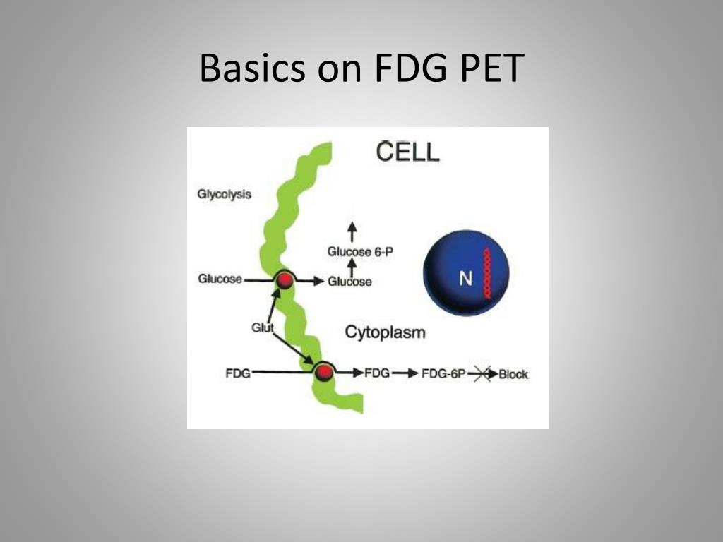 PPT - Role of FDG PET(/CT) in Assessing Response to Treatment of ...