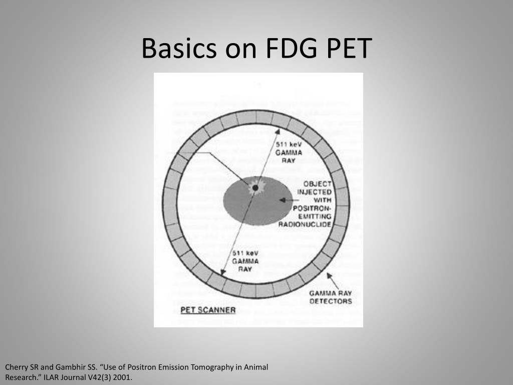 PPT - Role of FDG PET(/CT) in Assessing Response to Treatment of ...