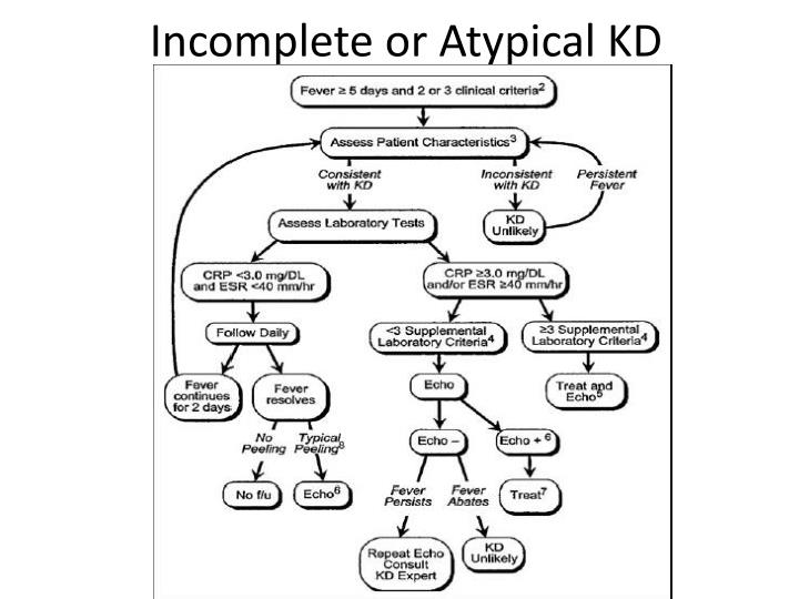 PPT - Benign Joint Hypermobility syndrome PowerPoint Presentation - ID ...
