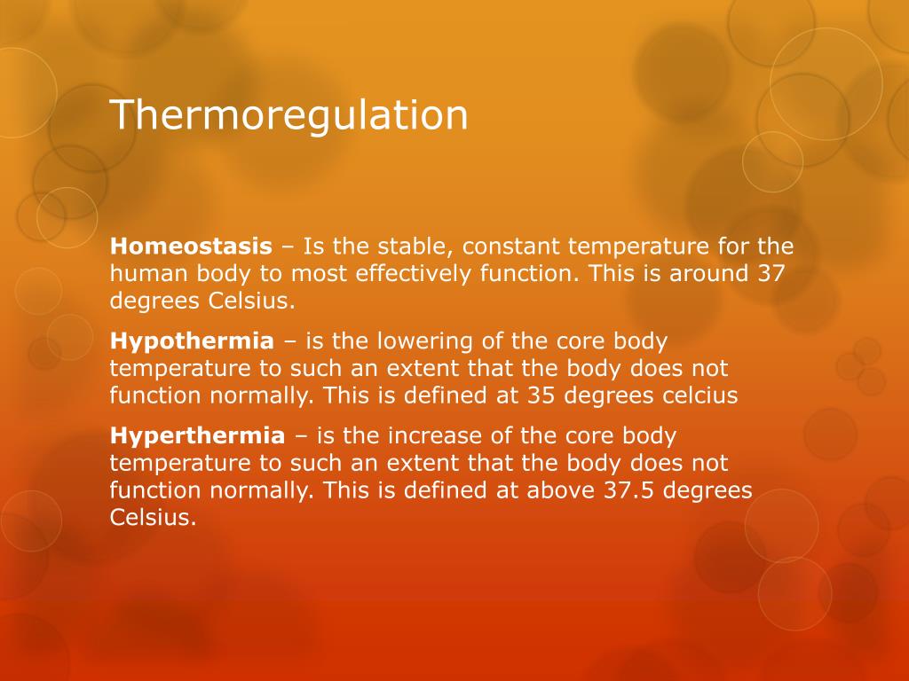 Ppt Thermoregulation Powerpoint Presentation Free Download Id 3086510