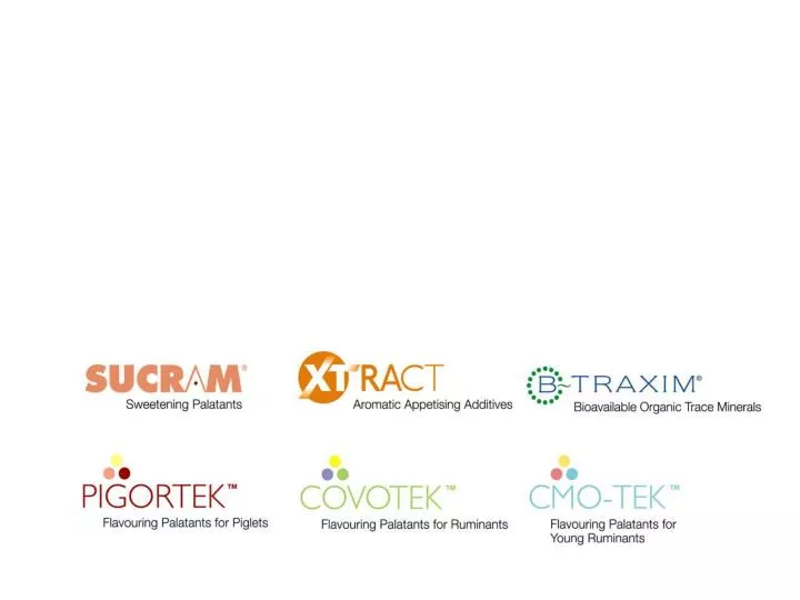 PPT - Sucram Sweetening Palatant PowerPoint Presentation, free download ...