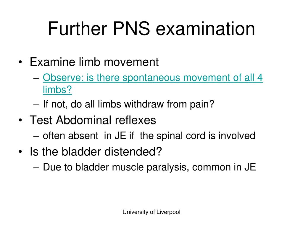 PPT - Clinical Assessment of Children with Suspected Central Nervous ...
