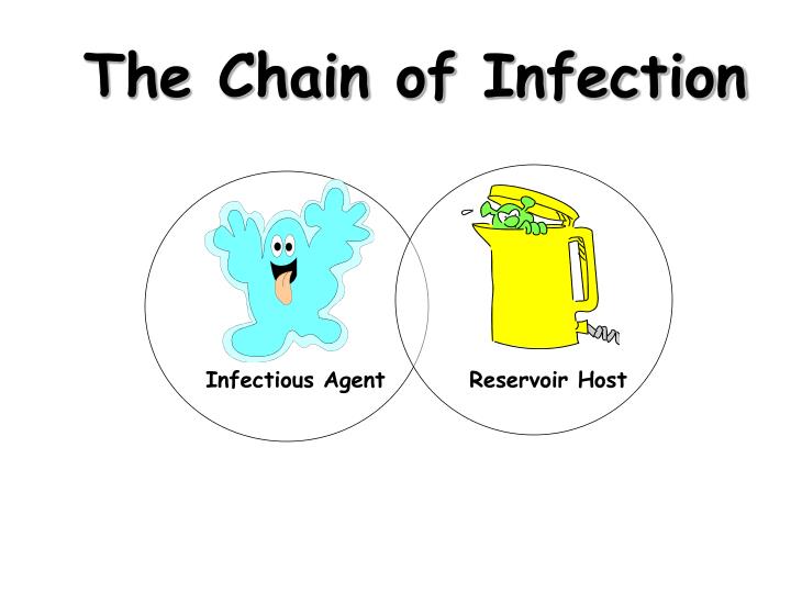 PPT - The Chain of Infection PowerPoint Presentation - ID:3087483