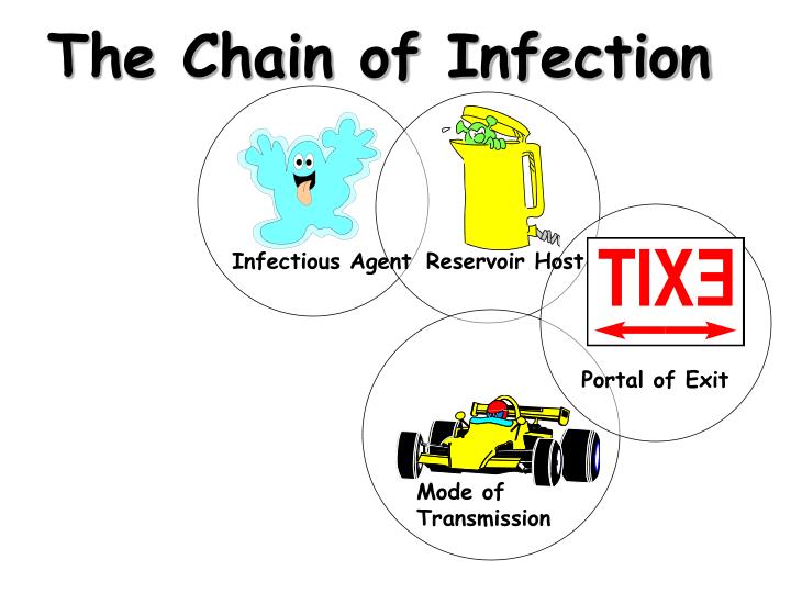 PPT - The Chain of Infection PowerPoint Presentation - ID:3087483