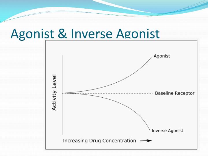 PPT - Pharmacodynamics PowerPoint Presentation - ID:3088110