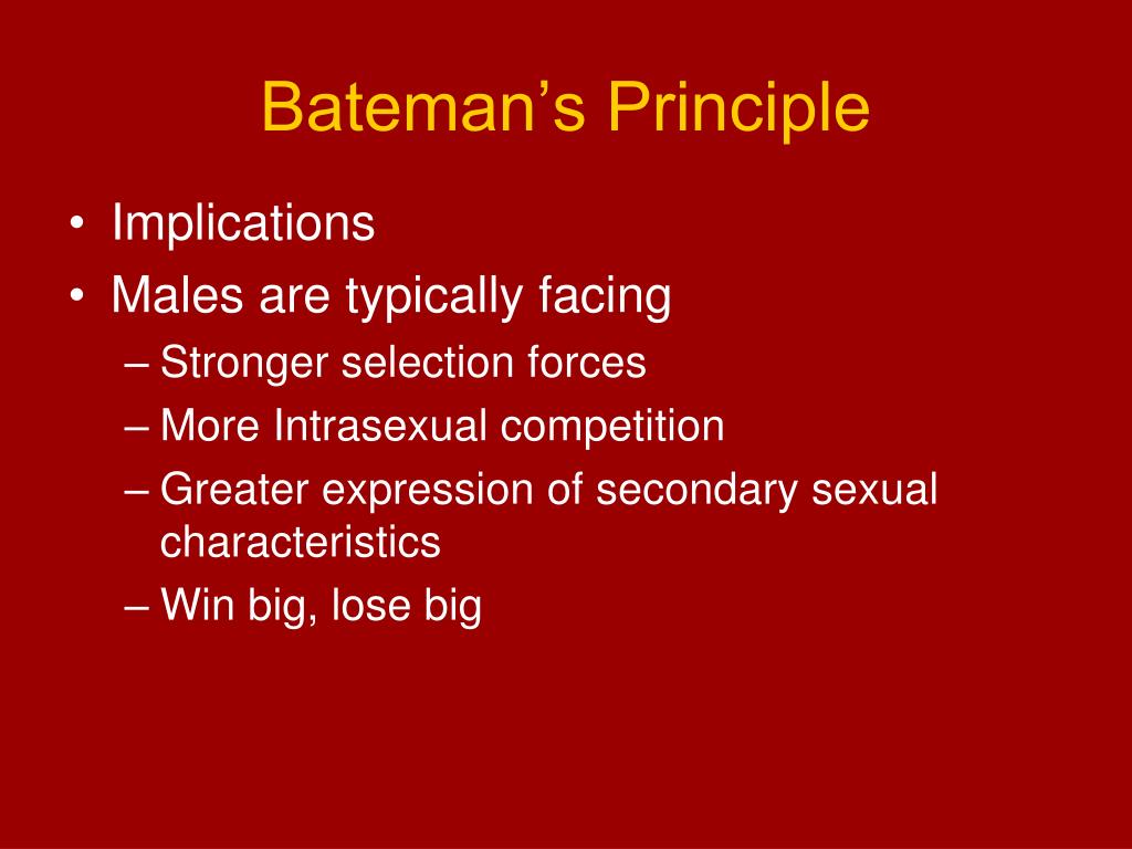 PPT - Maximizing Male Reproductive Fitness: The Dynamics of Intrasexual ...