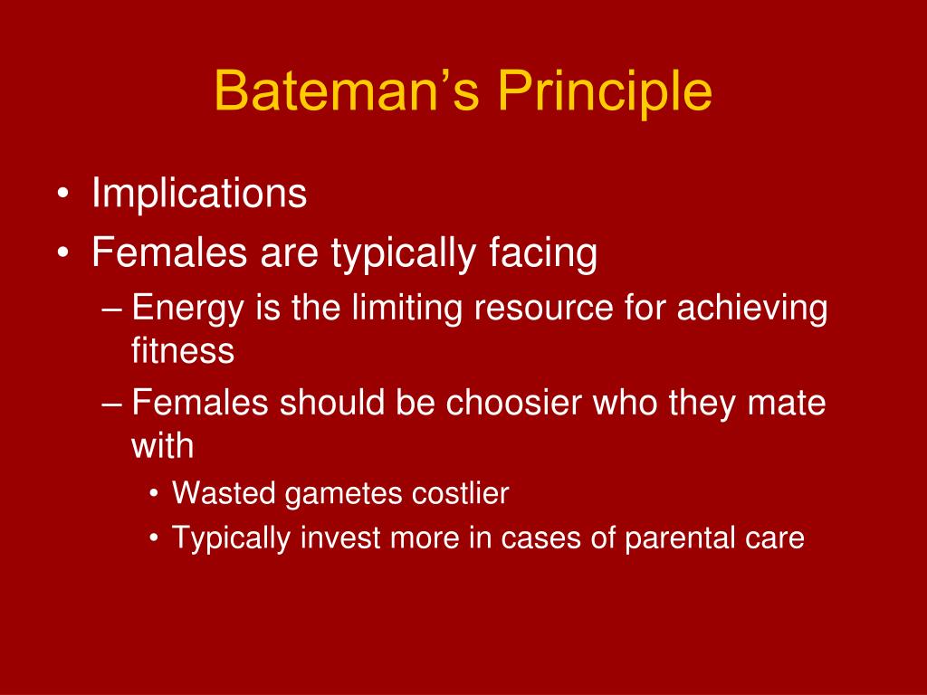 PPT - Maximizing Male Reproductive Fitness: The Dynamics of Intrasexual ...