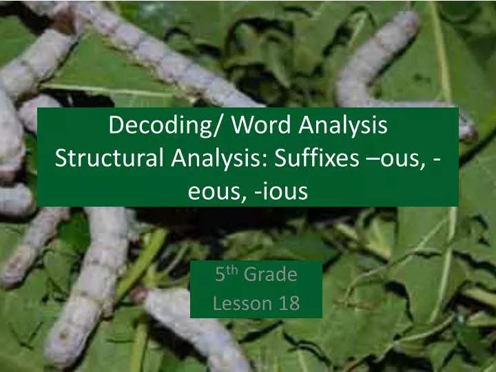 PPT - Decoding/ Word Analysis Structural Analysis: Suffixes – ous ...