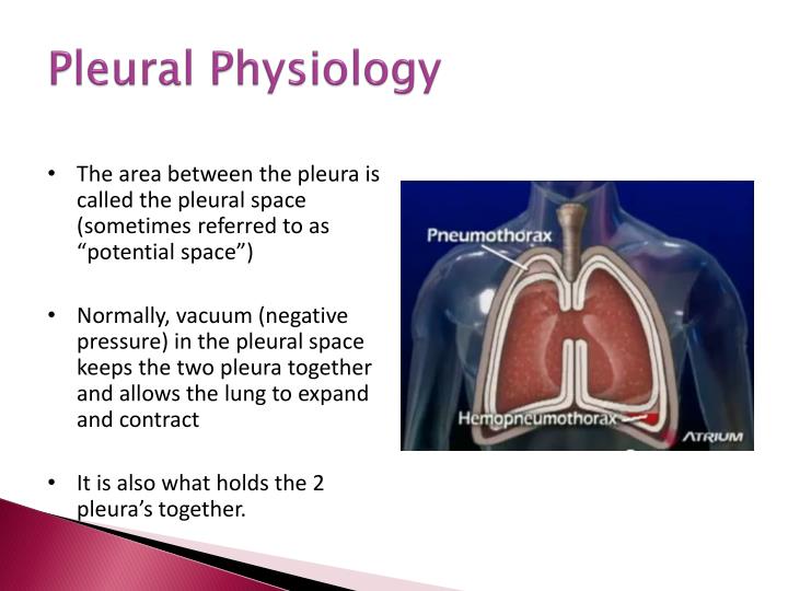 PPT - Chest Tubes PowerPoint Presentation - ID:3090007