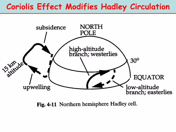 PPT - Coriolis Effect Modifies Hadley Circulation PowerPoint ...