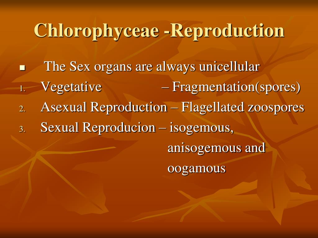 PPT - Prepared by : Km. Monika Balmiki KV GANGTOK PowerPoint ...