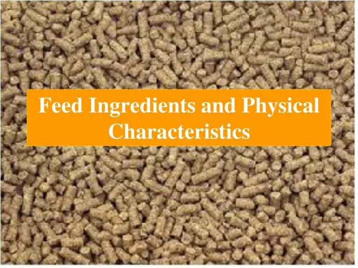 PPT - Feed Ingredients and Physical Characteristics PowerPoint ...