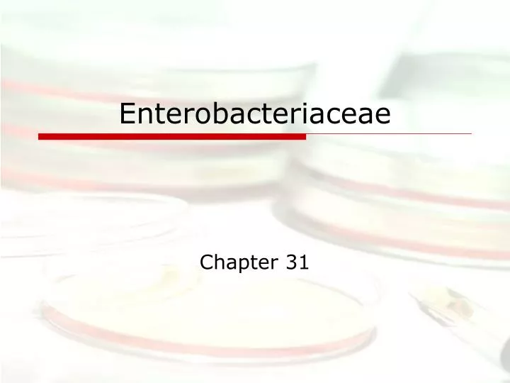PPT - Enterobacteriaceae PowerPoint Presentation, free download - ID ...
