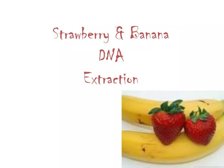 PPT - Strawberry & Banana DNA Extraction PowerPoint Presentation, free ...