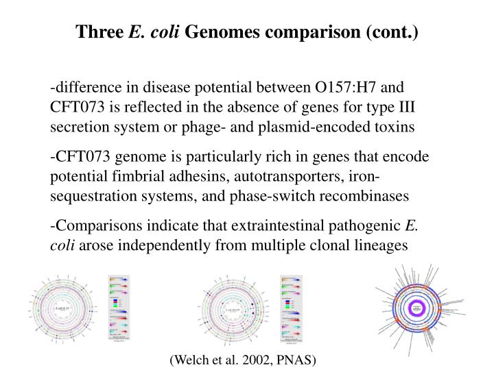 PPT - Dissecting virulence of E. coli O157:H7 using genome alignments ...