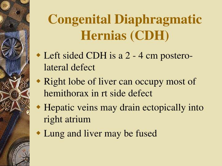 PPT - DIAPHRAGM AND HIATUS HERNIA PowerPoint Presentation - ID:3094188