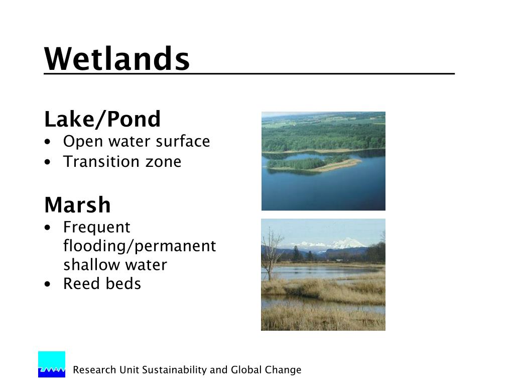 PPT - Economic Potential of Wetland Habitats in Europe PowerPoint ...