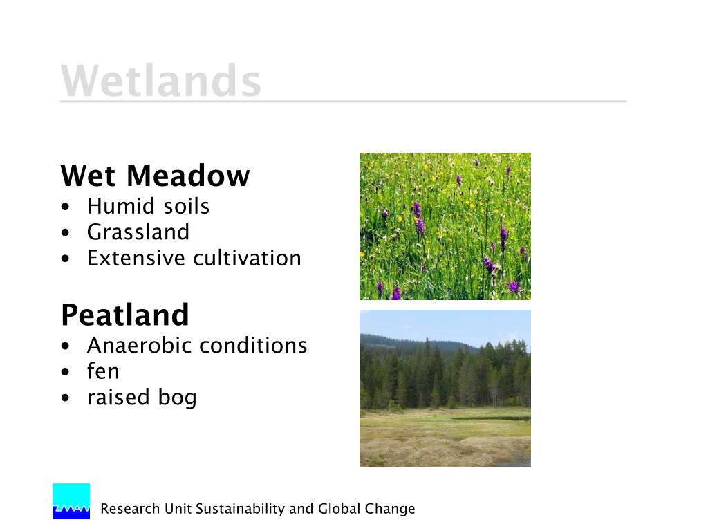 PPT - Economic Potential of Wetland Habitats in Europe PowerPoint ...