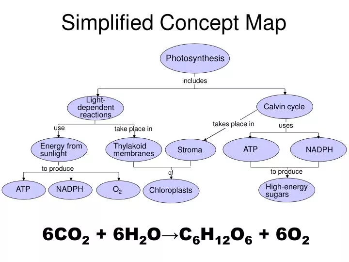 PPT - Simplified Concept Map PowerPoint Presentation, free download ... PPT - Simplified Concept Map PowerPoint Presentation, free download ...