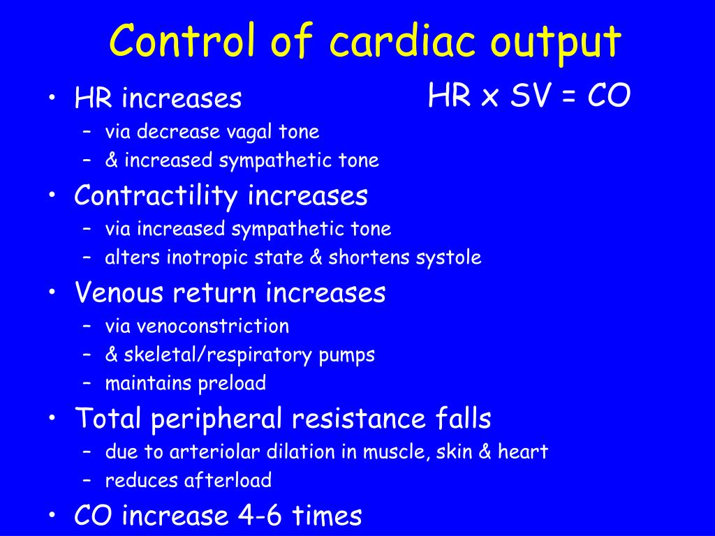 What Is Heart Rate And Stroke Volume - BEST HOME DESIGN IDEAS What Is Heart Rate And Stroke Volume - BEST HOME DESIGN IDEAS