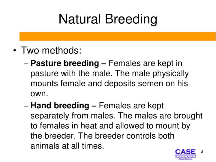 PPT - Livestock Breeding Systems PowerPoint Presentation - ID:3098349