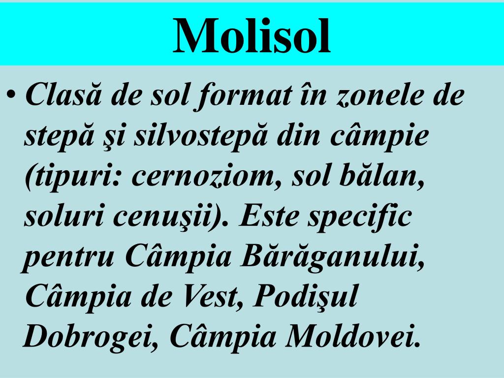 PPT - DEFINIŢII DE TERMENI GEOGRAFICI ŞI EXEMPLE PowerPoint ...