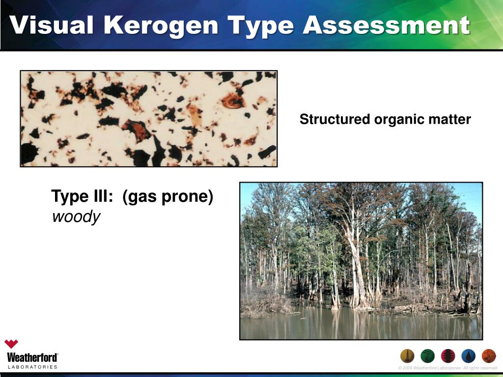PPT - Presented by: Dick Drozd Email: Dick.Drozd@WeatherfordLabs ...