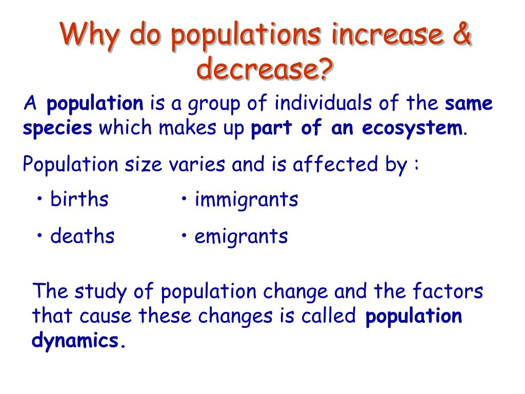 PPT - Understanding Demographic Trends: Population Dynamics and Their ...