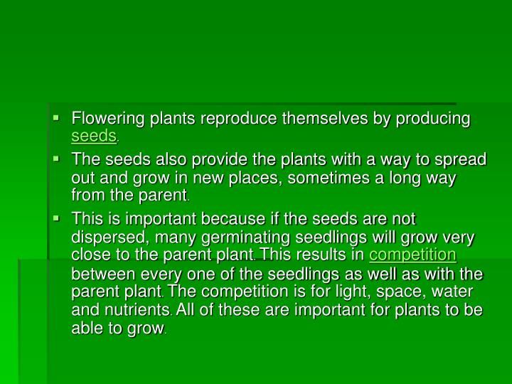 PPT - PARTS OF A FLOWER PowerPoint Presentation - ID:3099139