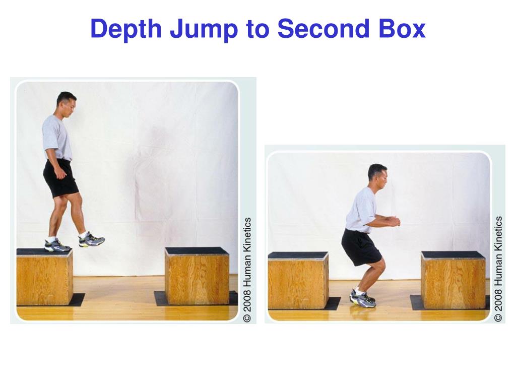 PPT - Photos of Plyometric Drills PowerPoint Presentation, free ...