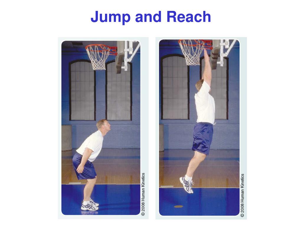 PPT - Photos of Plyometric Drills PowerPoint Presentation, free ...