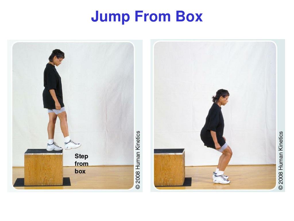 PPT - Photos of Plyometric Drills PowerPoint Presentation, free ...