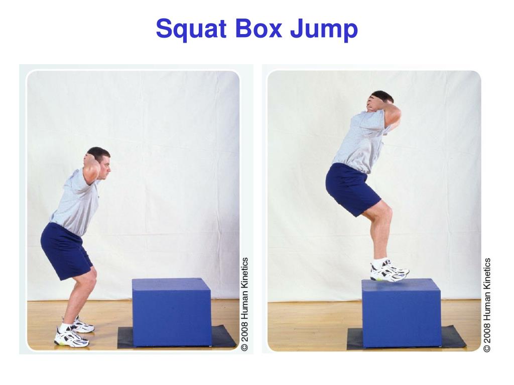 PPT - Photos of Plyometric Drills PowerPoint Presentation, free ...