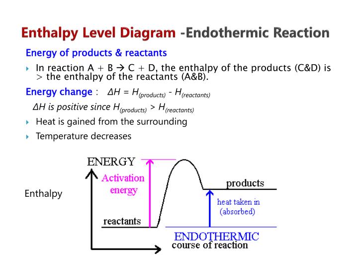 PPT - Energetics PowerPoint Presentation - ID:3099906