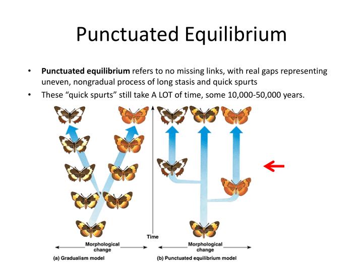 PPT - Intraspecific variation PowerPoint Presentation - ID:3099915