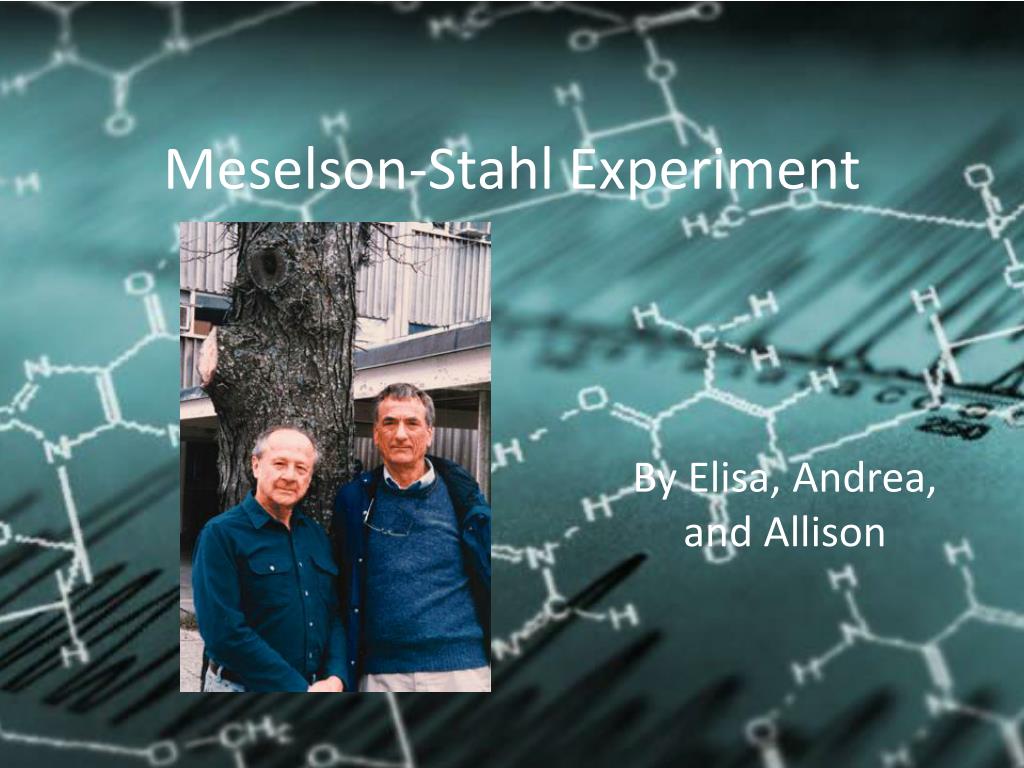 PPT - Meselson-Stahl Experiment PowerPoint Presentation, free download ... PPT - Meselson-Stahl Experiment PowerPoint Presentation, free download ...