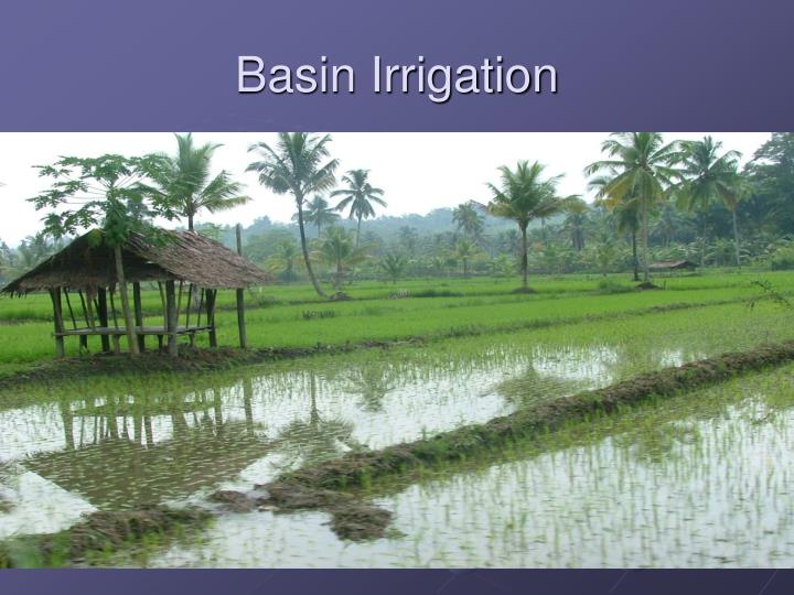 PPT - Irrigation and Engineering Design PowerPoint Presentation - ID ...